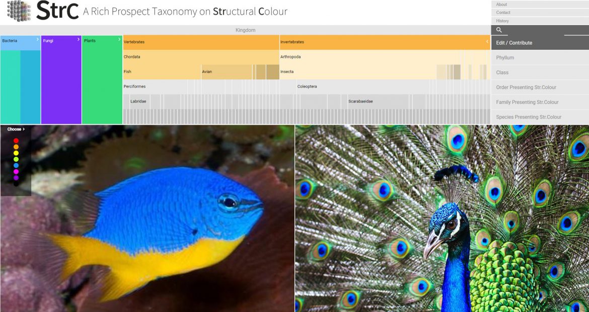 Living Colours: A Story of Structural Colour in Nature and Science ...