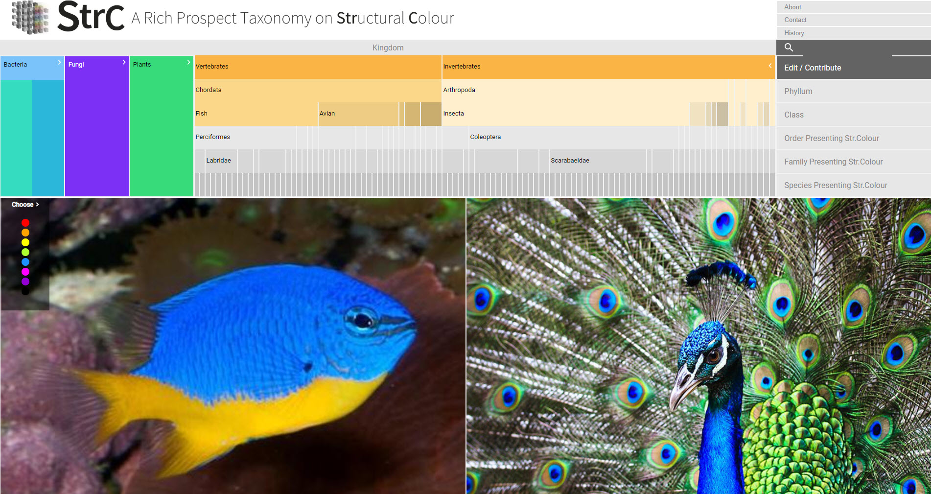 Living Colours: A Story of Structural Colour in Nature and Science ...