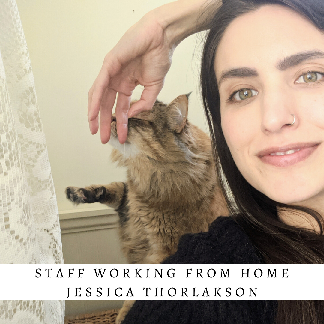 Librarians working from home: Meet Jessica! — news.library.ualberta.ca