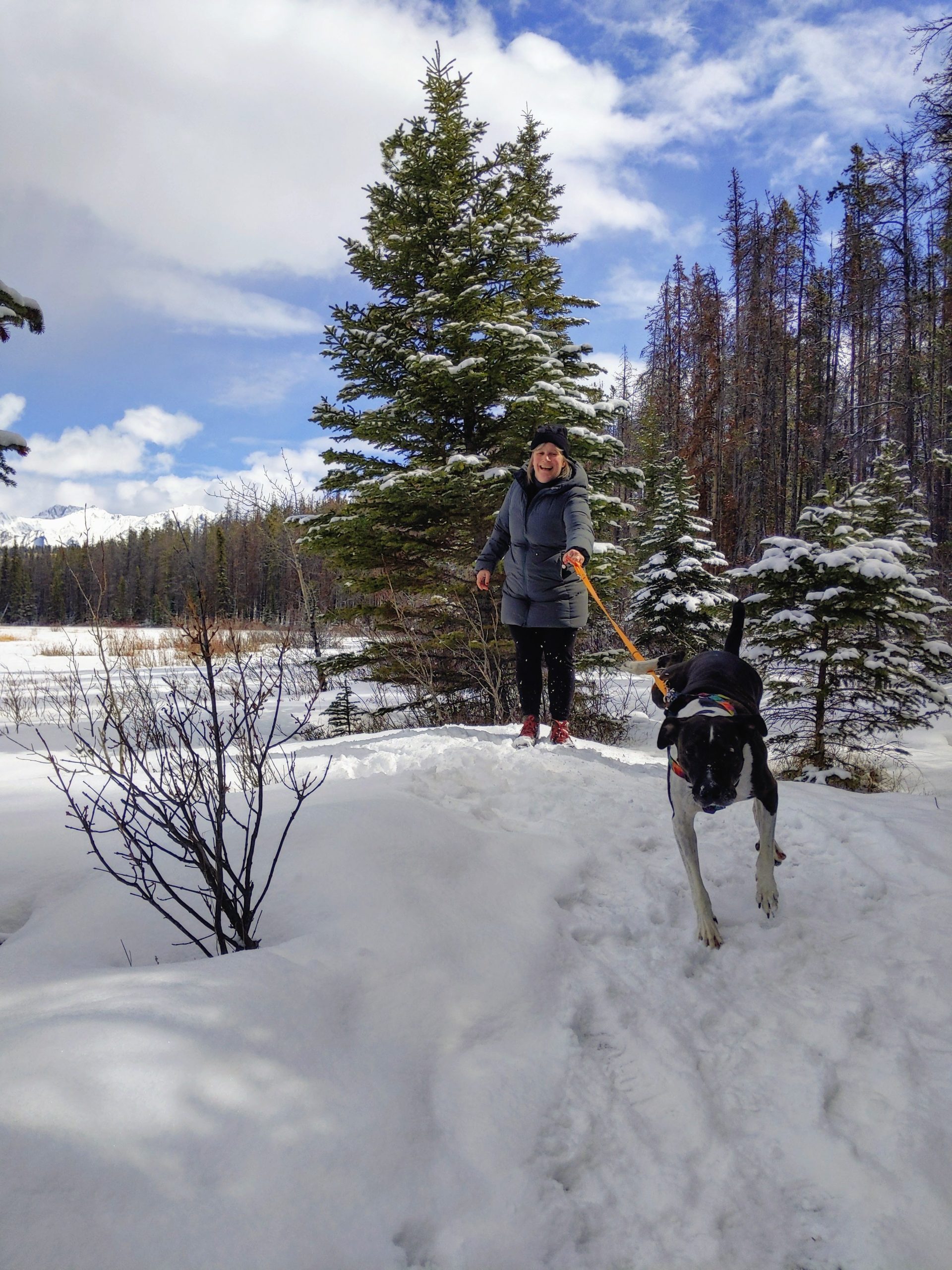 Staff Showcase: Digital Initiatives Project Librarian Sarah Severson ...