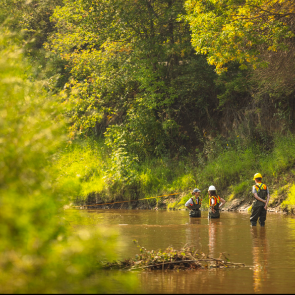 Empowering Research: How the University of Alberta Library Supports ...